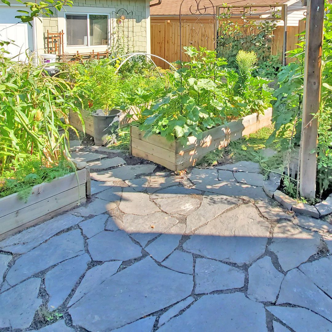 Custom Focus on Food Package - Inhabit Landscapes